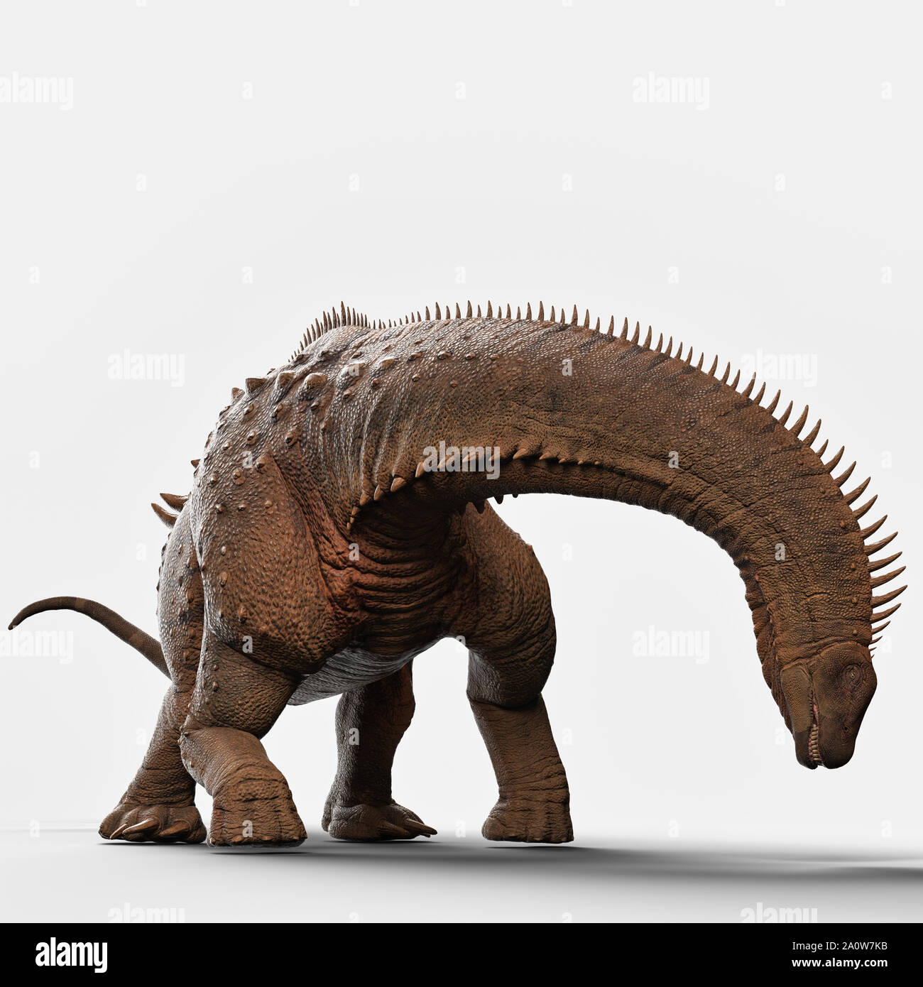 Alamosaurus illustration against a solid white background Stock Photo ...