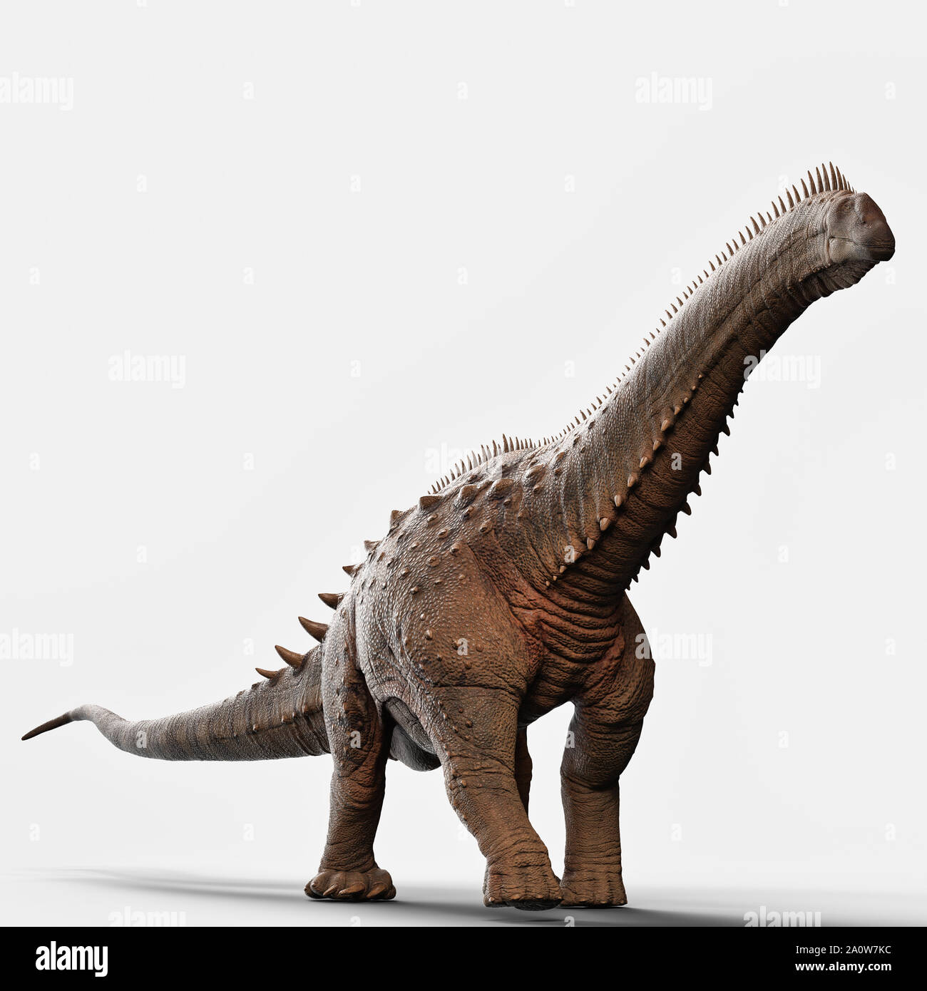 Alamosaurus illustration against a solid white background Stock Photo ...