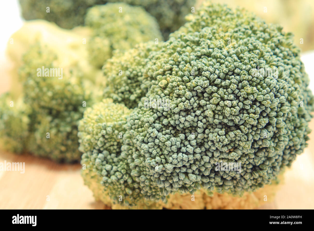 Fresh green broccoli as source natural vitamins and minerals. Healthy ...