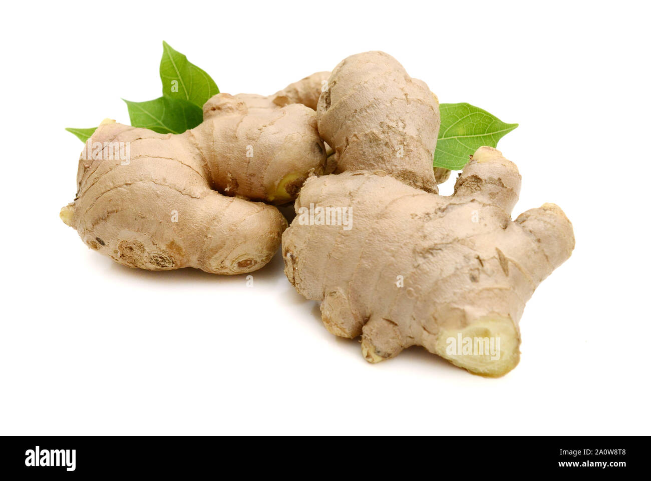 Ginger root leaves hi-res stock photography and images - Alamy