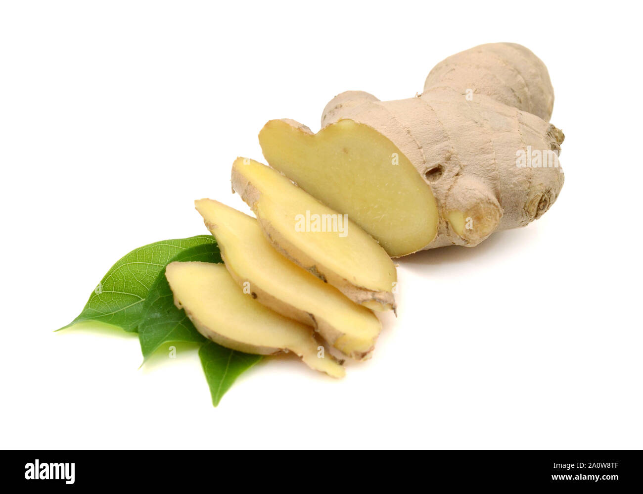 Fresh ginger root or rhizome isolated on white background cutout Stock ...