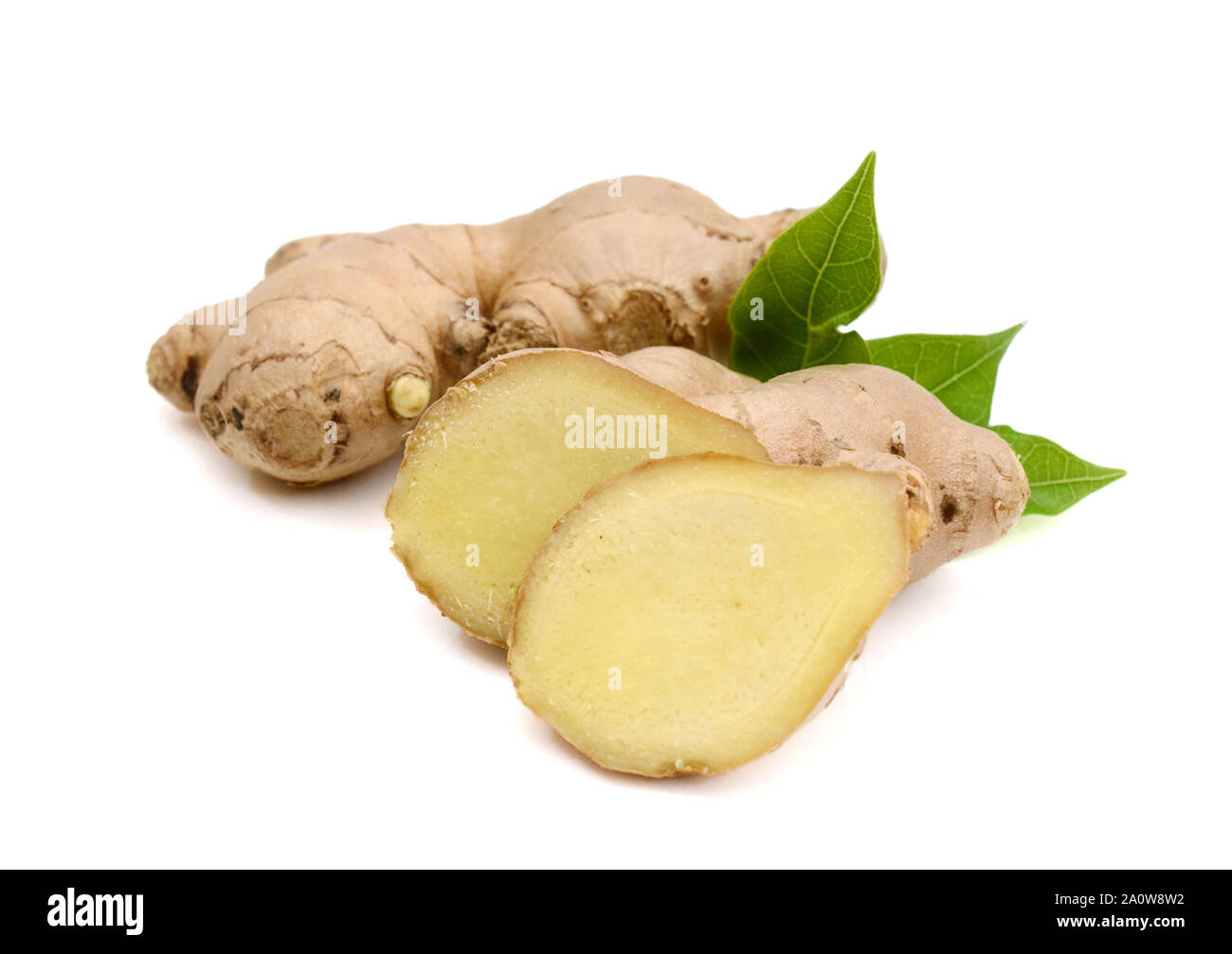 Beautiful ginger hi-res stock photography and images - Alamy