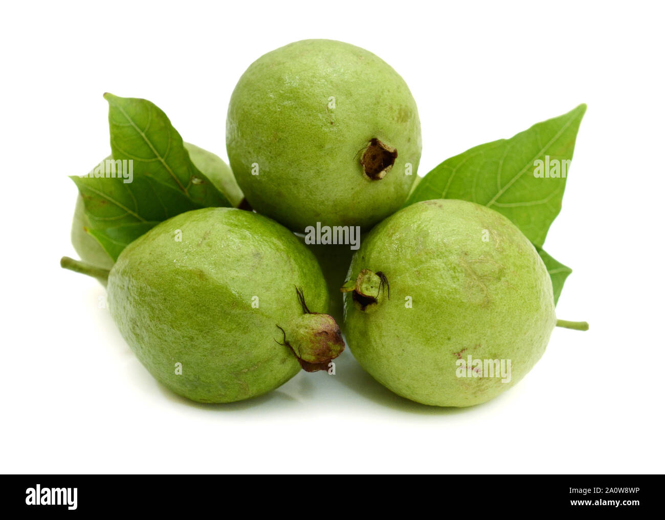 Guava fruit isolated on the white background Stock Photo - Alamy
