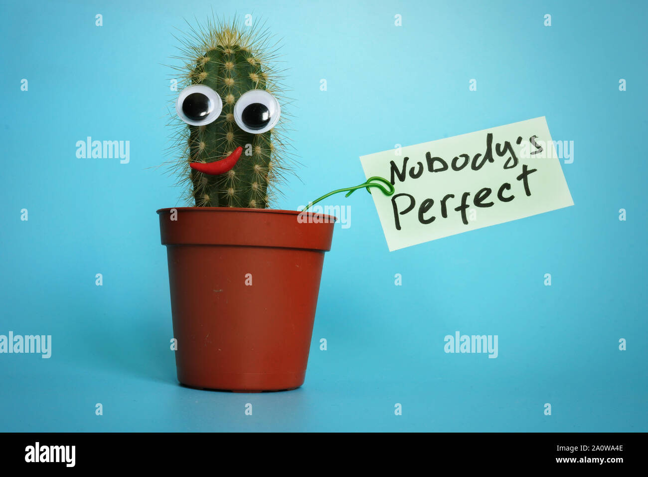 Funny cactus with sign Nobody is perfect Stock Photo - Alamy