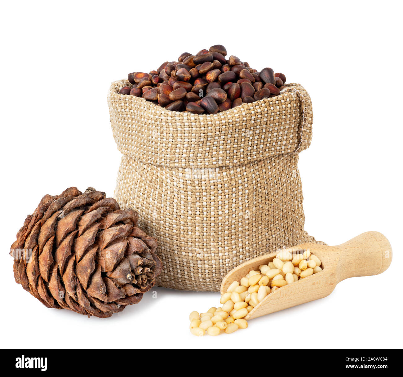 unpeeled cedar nuts in burlap sack with heap of kernels in wooden scoop ...