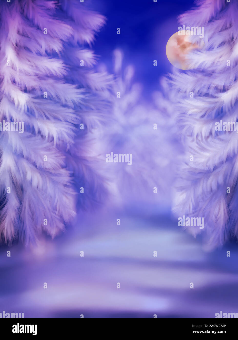 Winter night scenery with fir trees covered by snow Stock Photo - Alamy