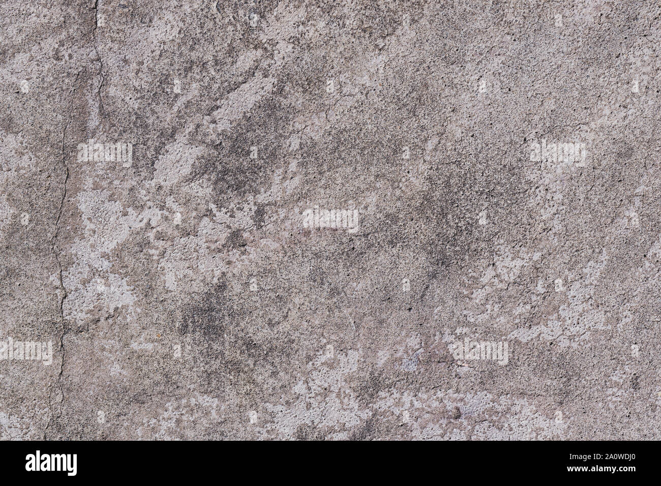 concrete surface texture to be used as background or backdrops Stock ...