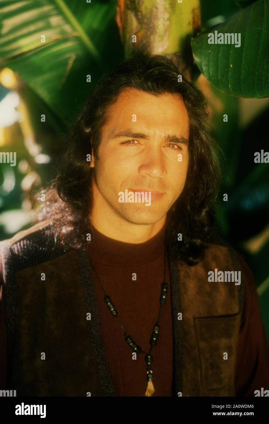 Beverly Hills, California, USA 18th December 1994 (Exclusive) Actor ...