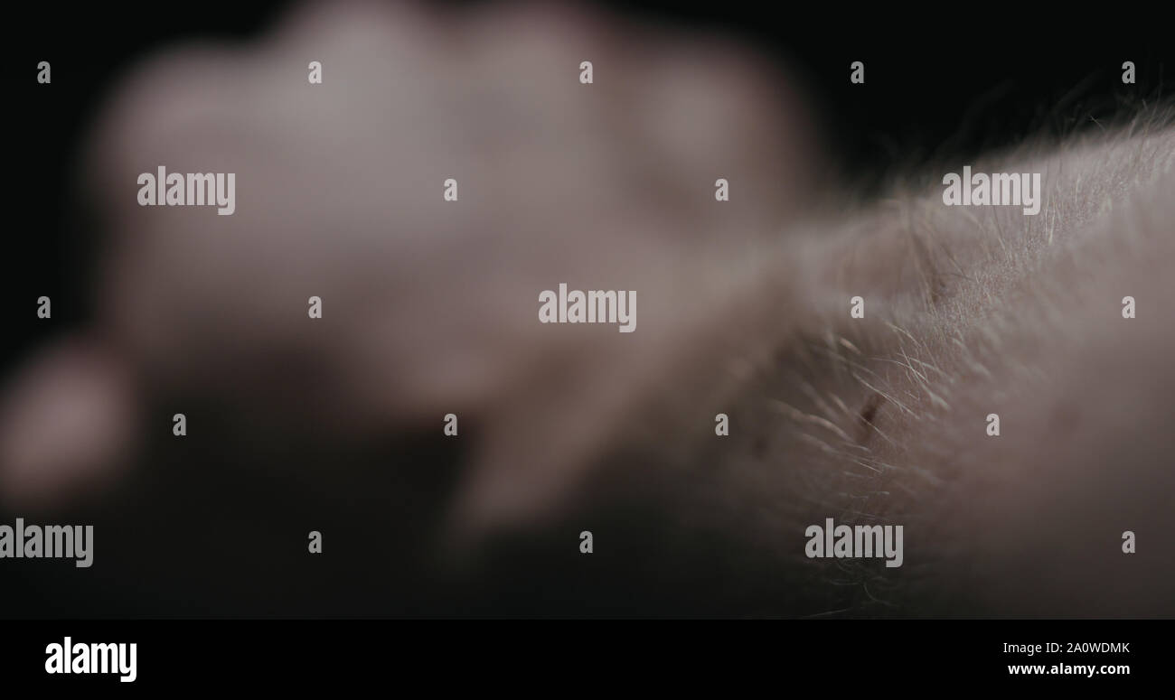 closeup pov man looking on his hand, wide photo Stock Photo - Alamy