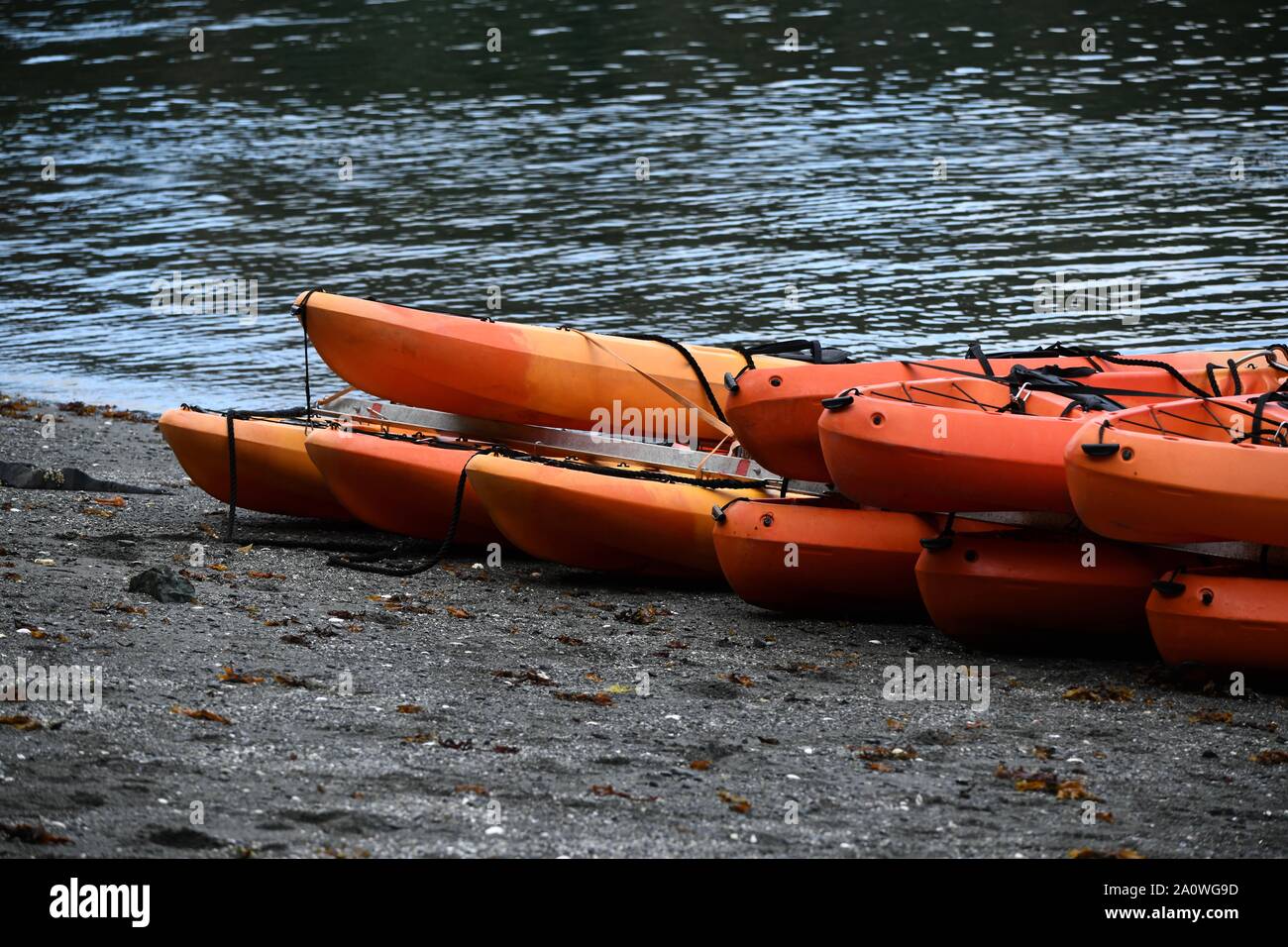 Exploring the seashore hi-res stock photography and images - Alamy