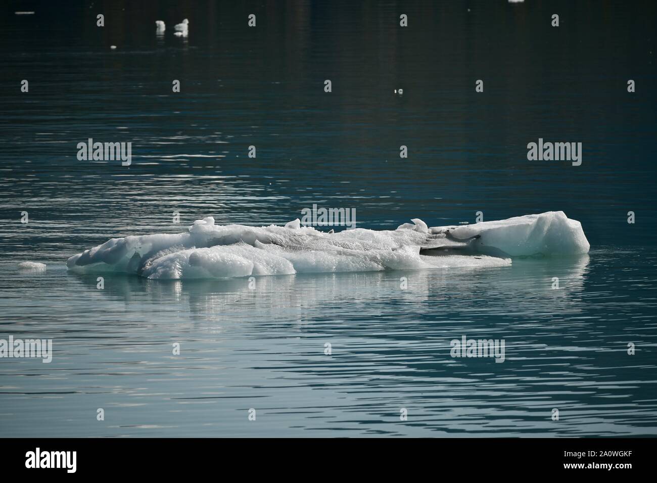 floating ice block reflected in the green waters of Glacier Bay Stock ...
