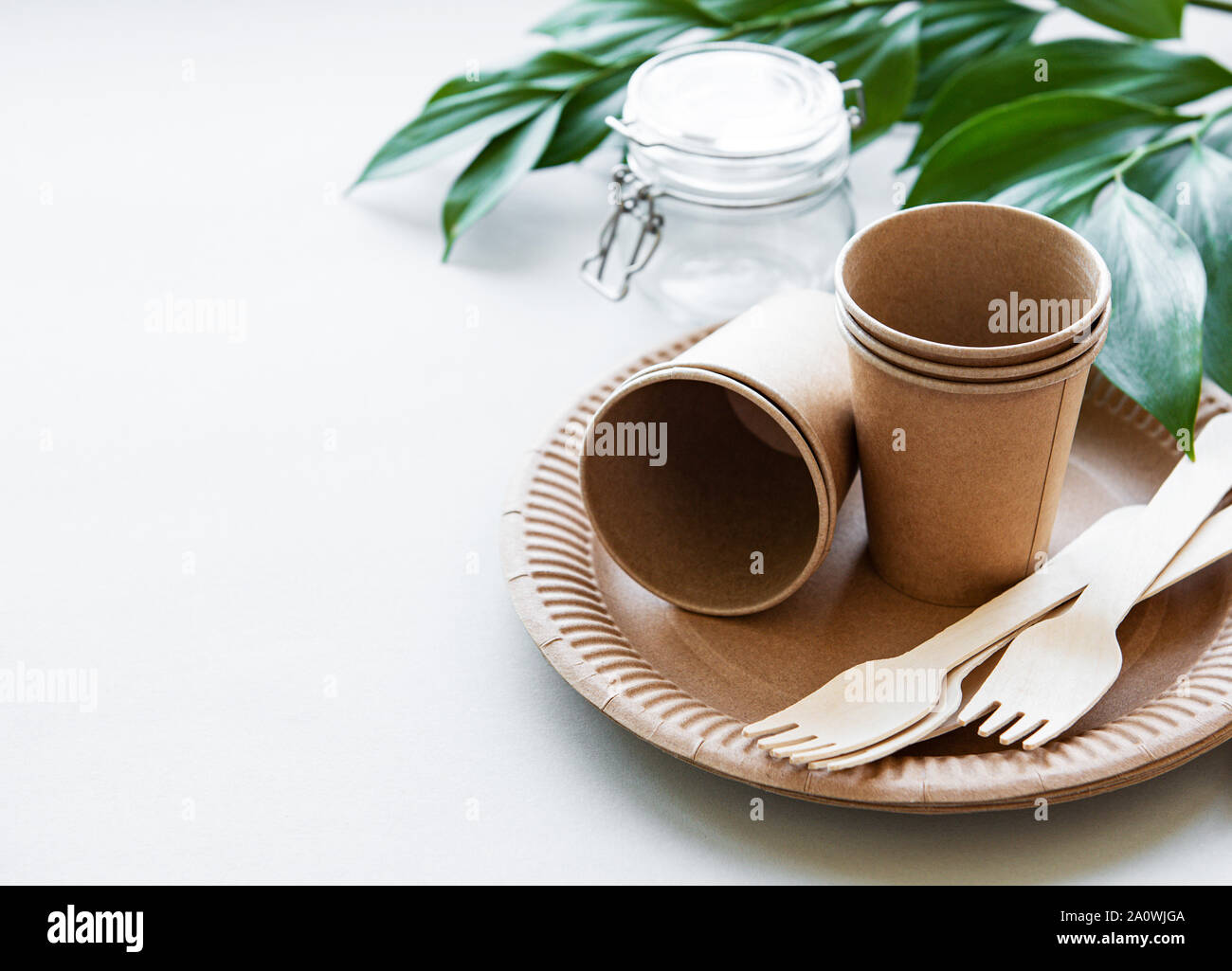 Zero waste, environmentally friendly, disposable, cardboard, paper ...