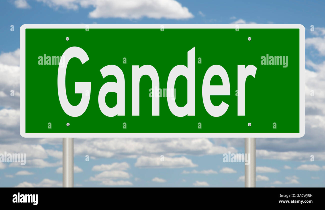 Canada gander newfoundland hi-res stock photography and images - Alamy