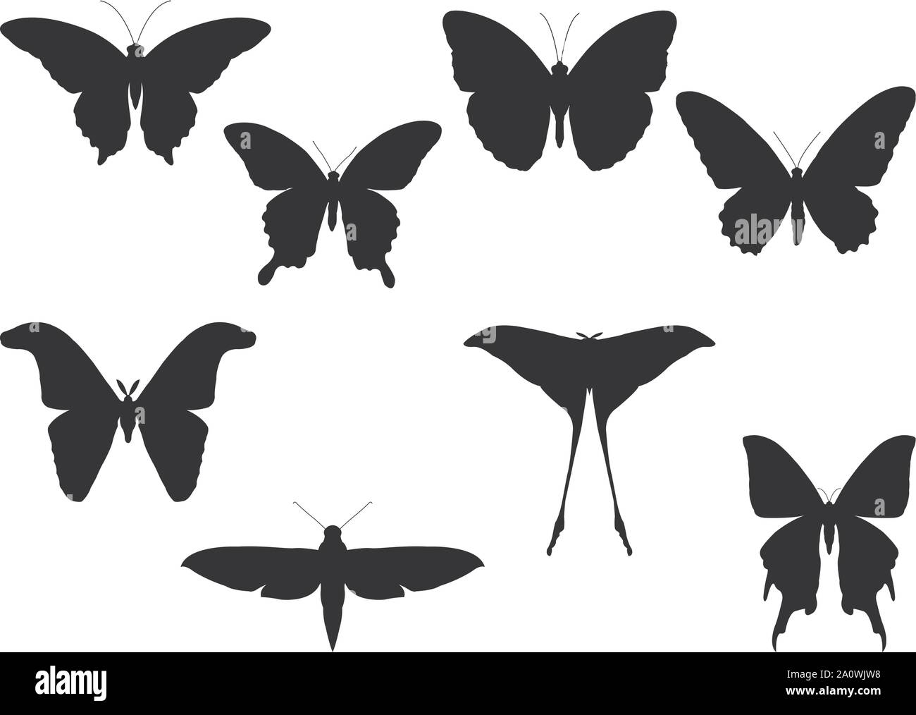 Set of moth and butterflies silhouettes vector illustration isolated on ...