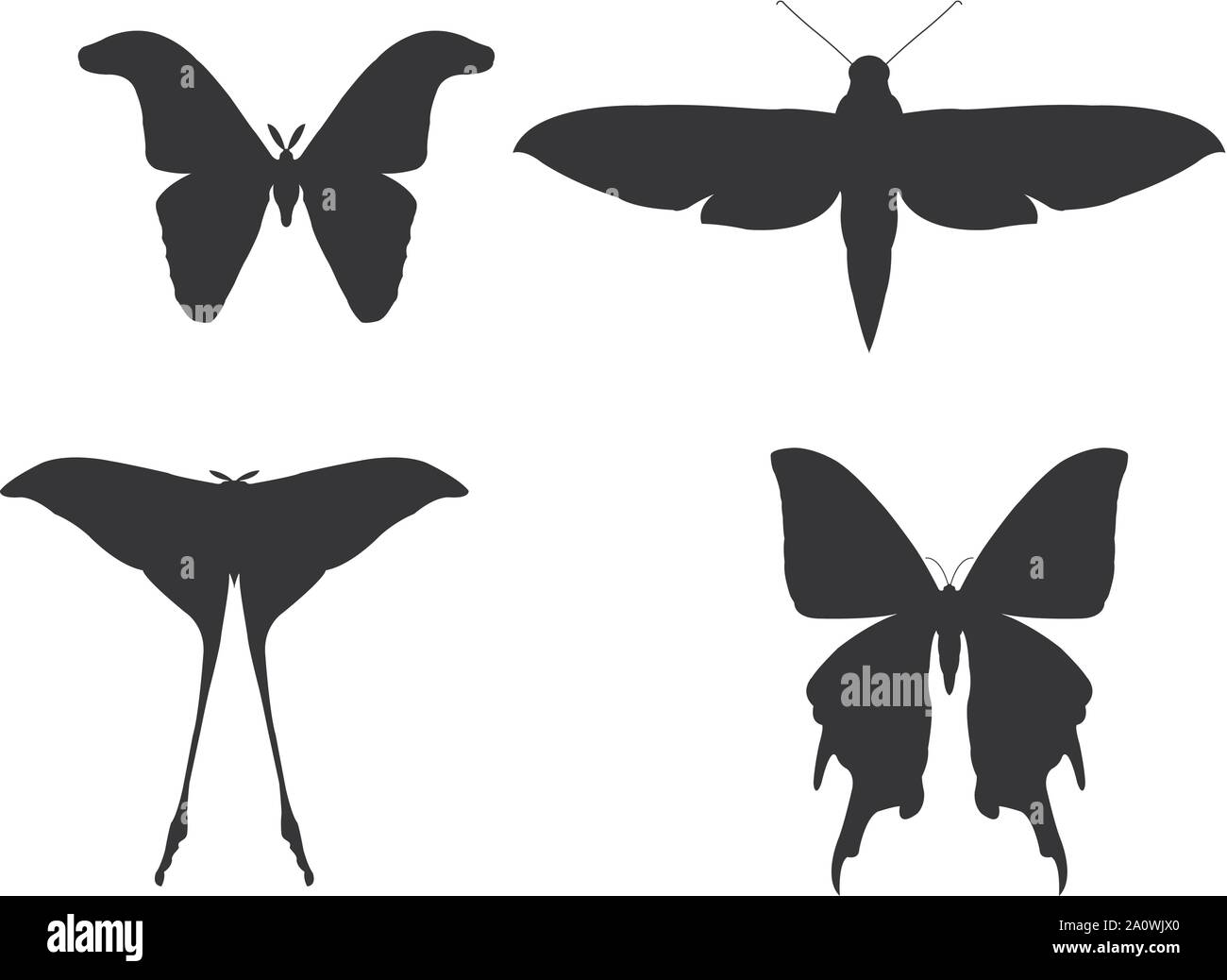 Set of moth silhouettes, vector illustration isolated on white Stock ...