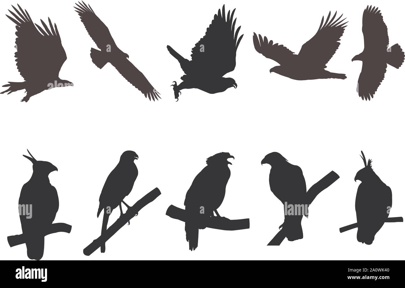 Collection of Eagle, Hawk Bird on tree branch Silhouettes. Vector ...