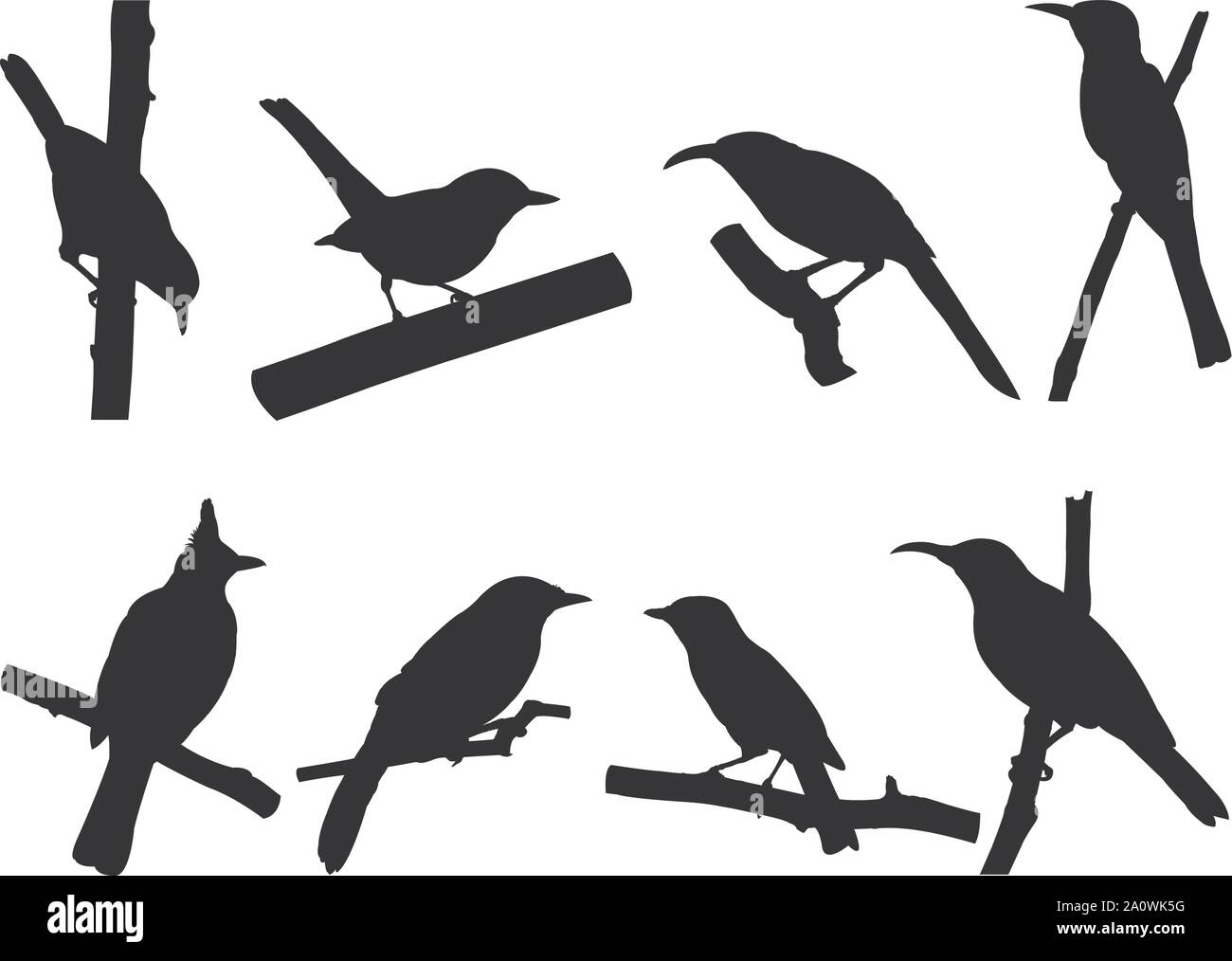 Collection of Bird on tree branch Silhouettes. Vector illustration ...