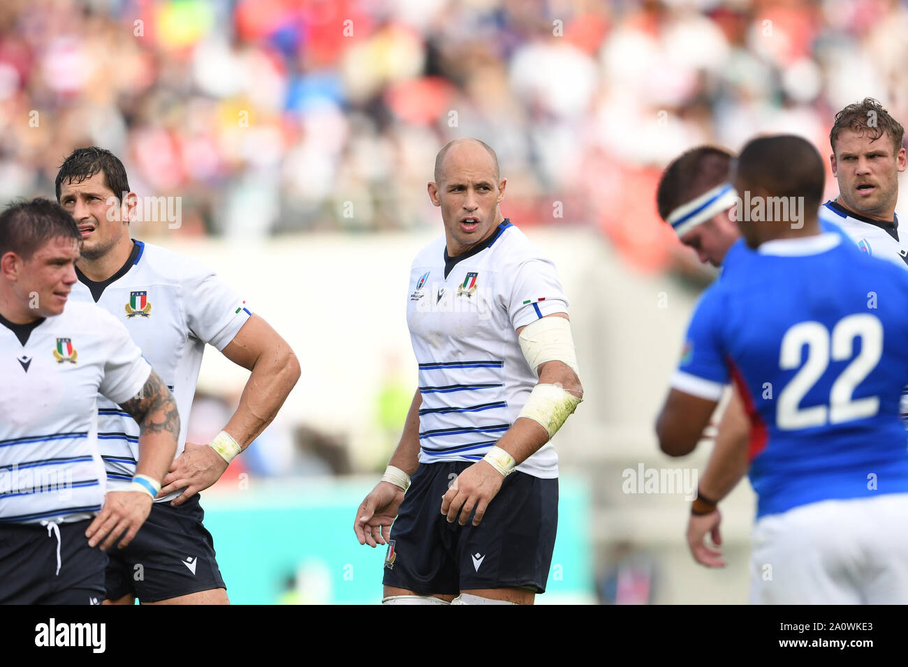 Japan. 22nd Spet 2019. Sergio Parisse of Italy during the 2019 Rugby ...