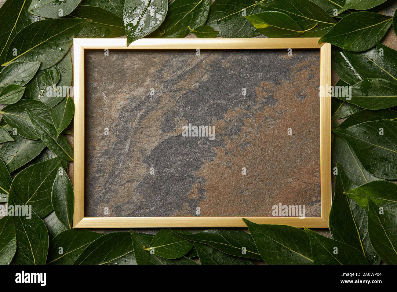 empty golden frame on stone background with copy space and wet green ...