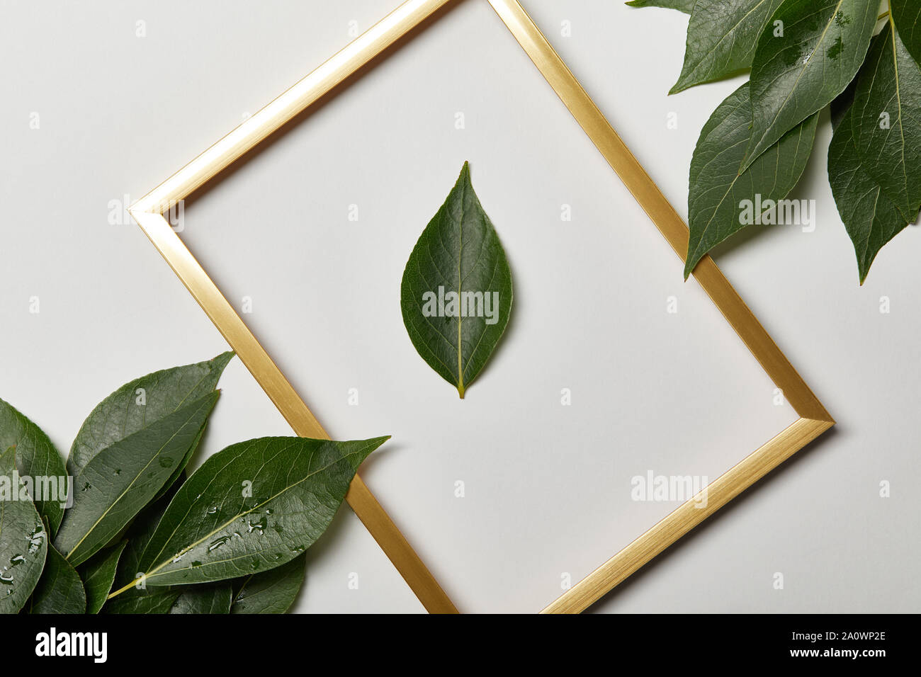 empty golden frame with leaf isolated on white Stock Photo - Alamy