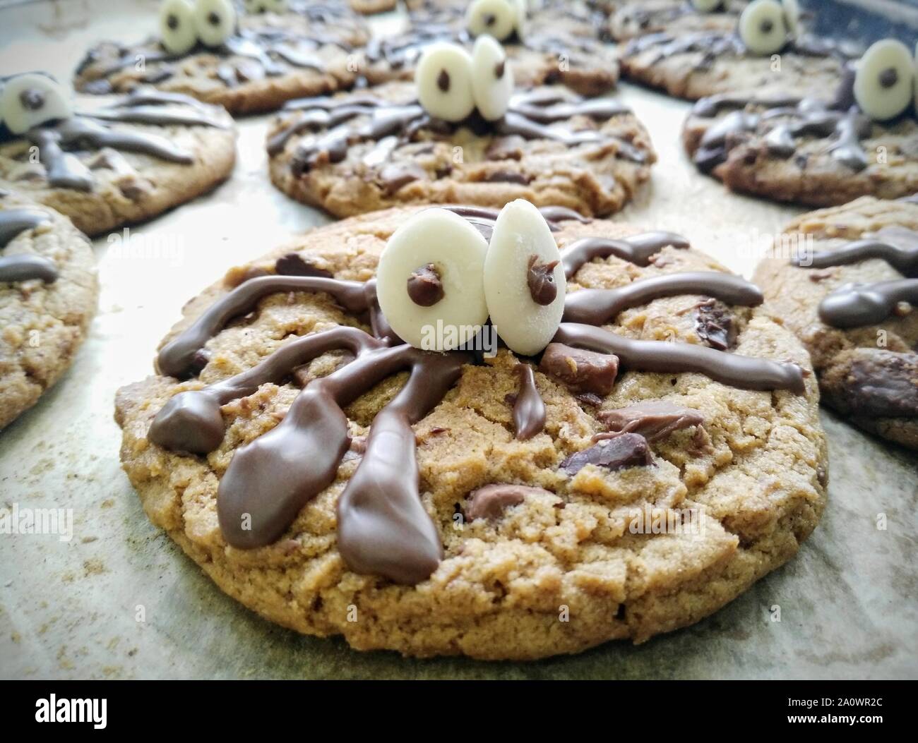 Spider chocolate chip cookies for Halloween with mini eyes Stock Photo ...