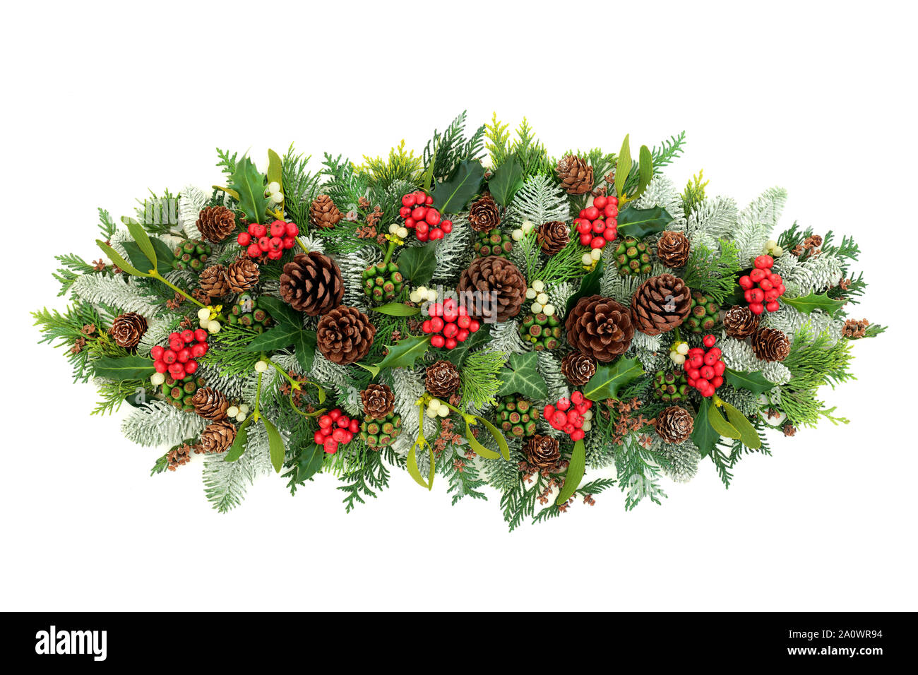 Winter and Christmas decoration with holly, snow covered spruce fir ...