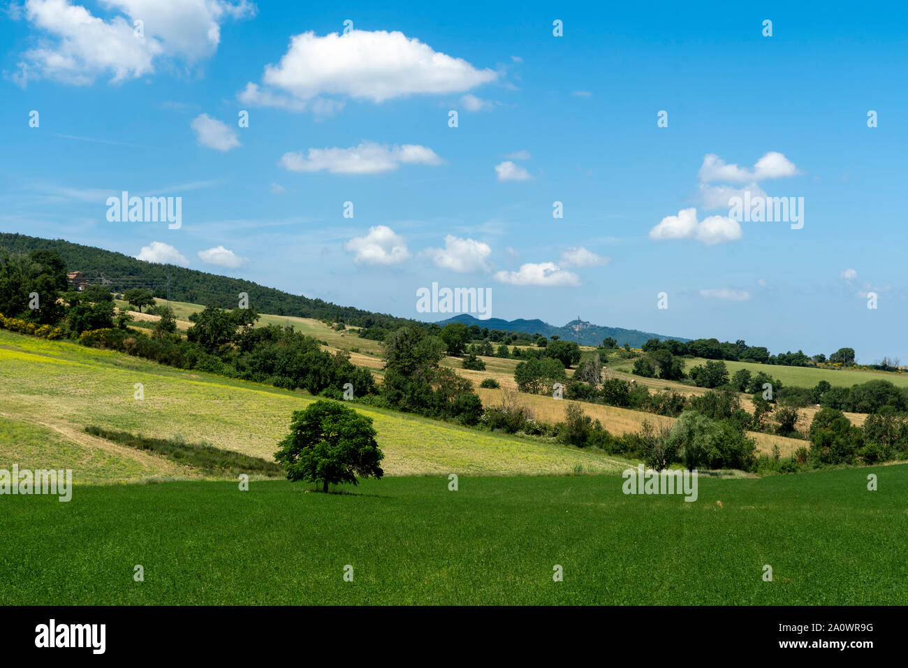 Rural landscape near Pomarance, Pisa, Tuscany, Italy, at summer. Fields ...