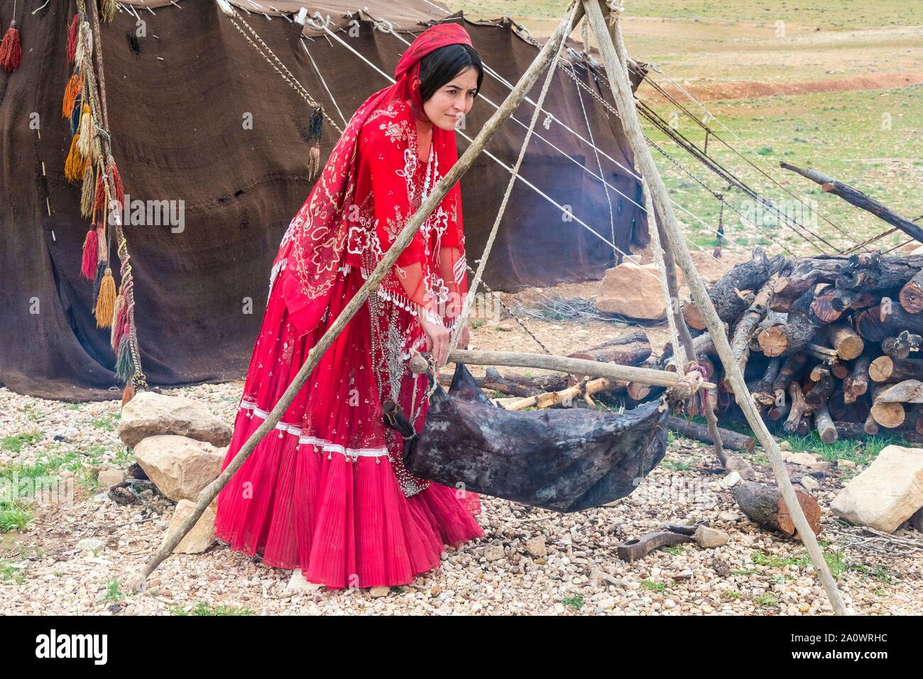 Qashqai woman shaking goat milk to make cheese, Qashqai nomad camp ...
