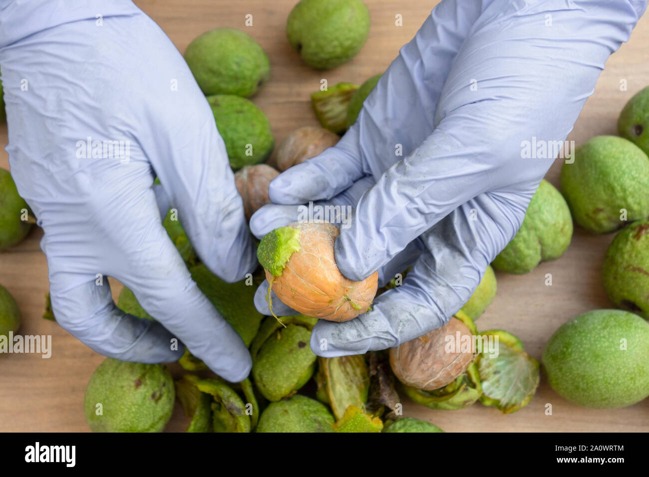 Peeling a walnut hi-res stock photography and images - Alamy