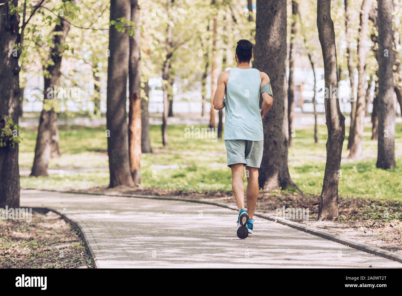 back view of young sportsman jogging along walkway in park Stock Photo ...