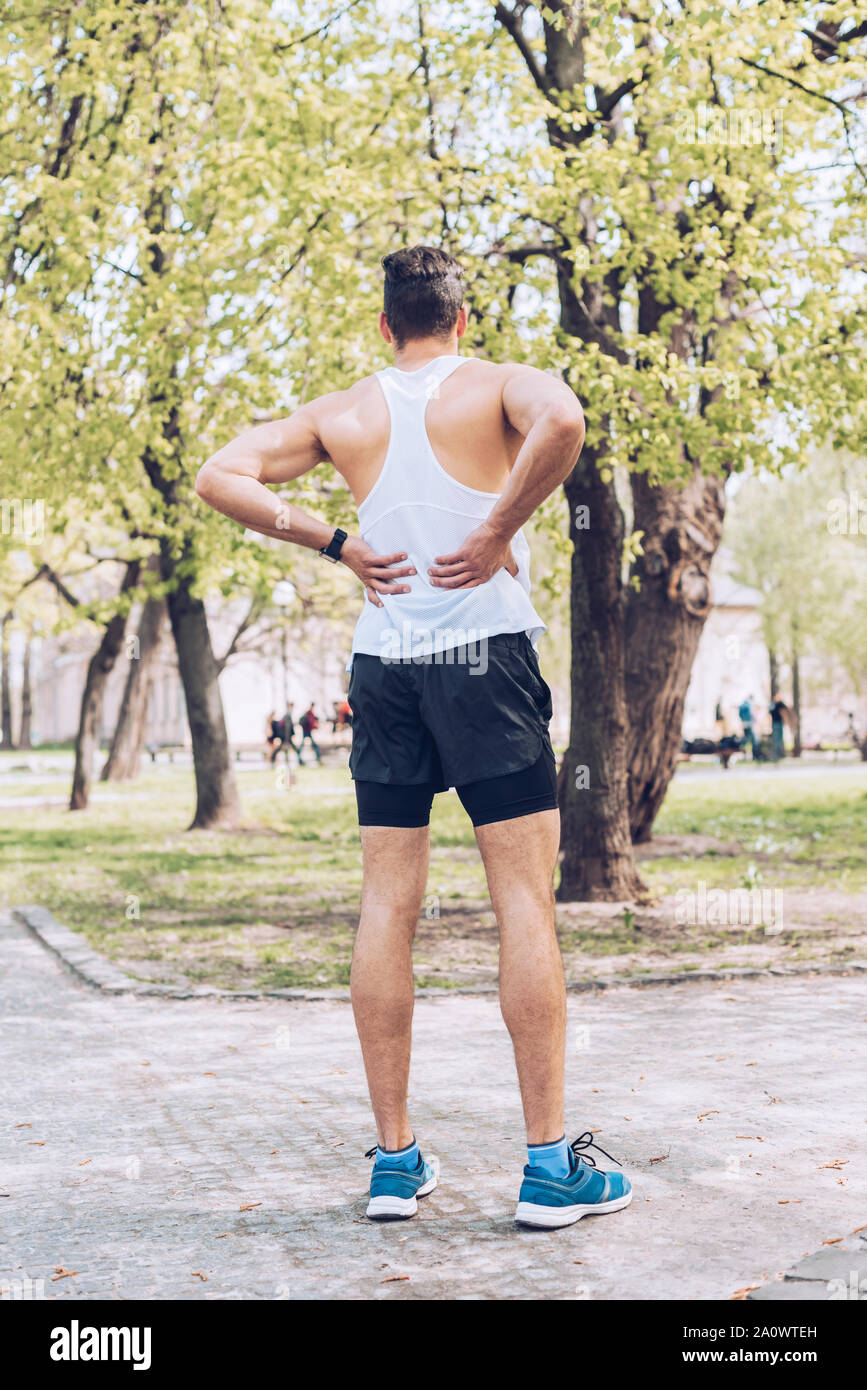 back view of man in sportswear and sneakers standing in park and ...
