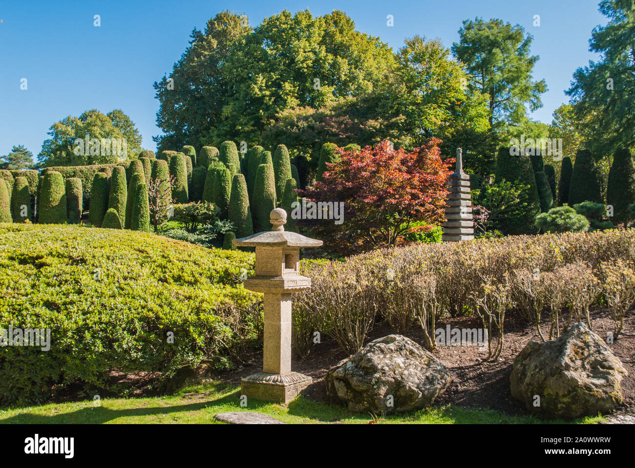 View into the Japanese Garden in Bonn on a sunny late summer day Stock ...