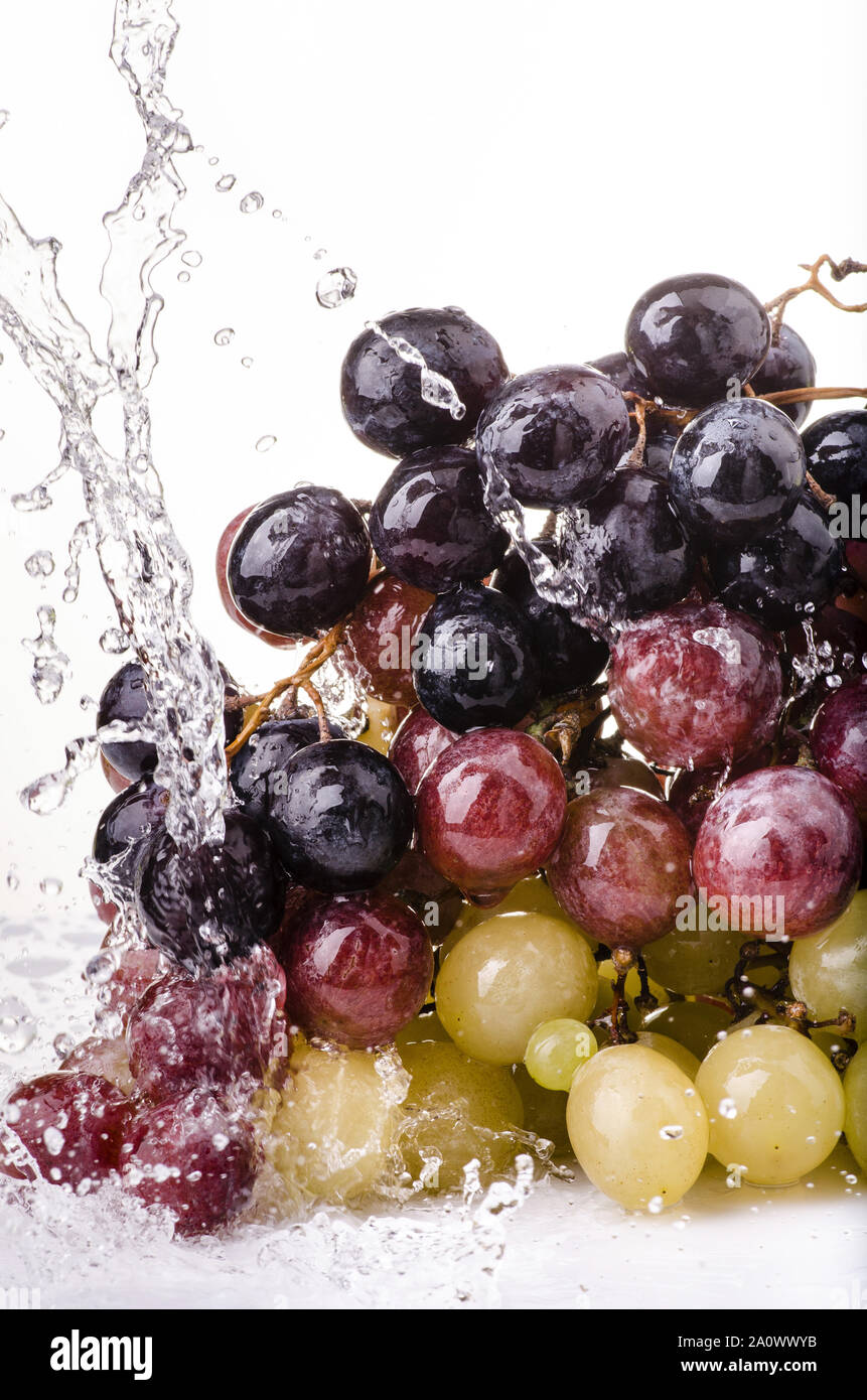 bunch of table grapes with splash of water Stock Photo - Alamy
