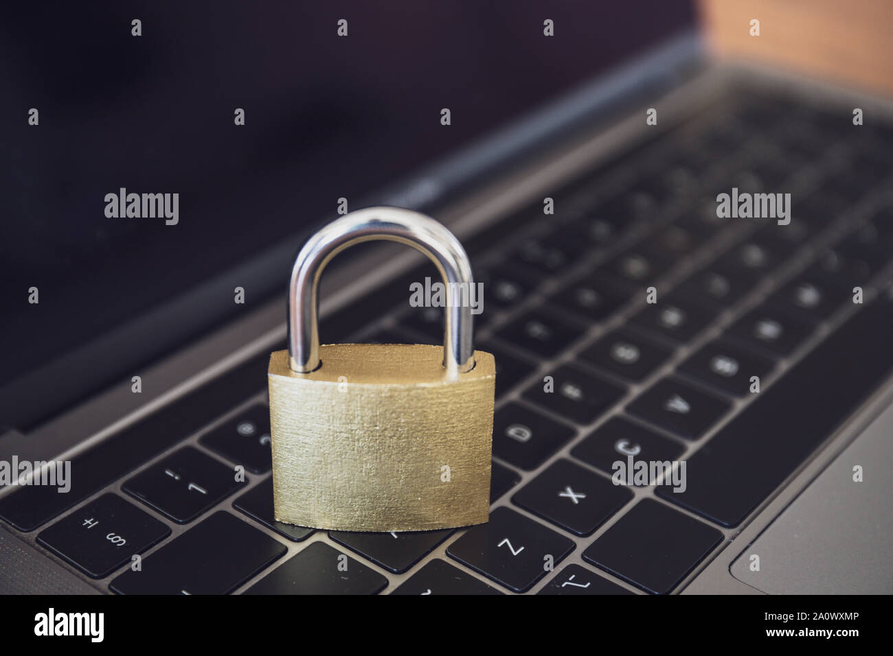 Computer security concept with a closed golden padlock on top of the ...