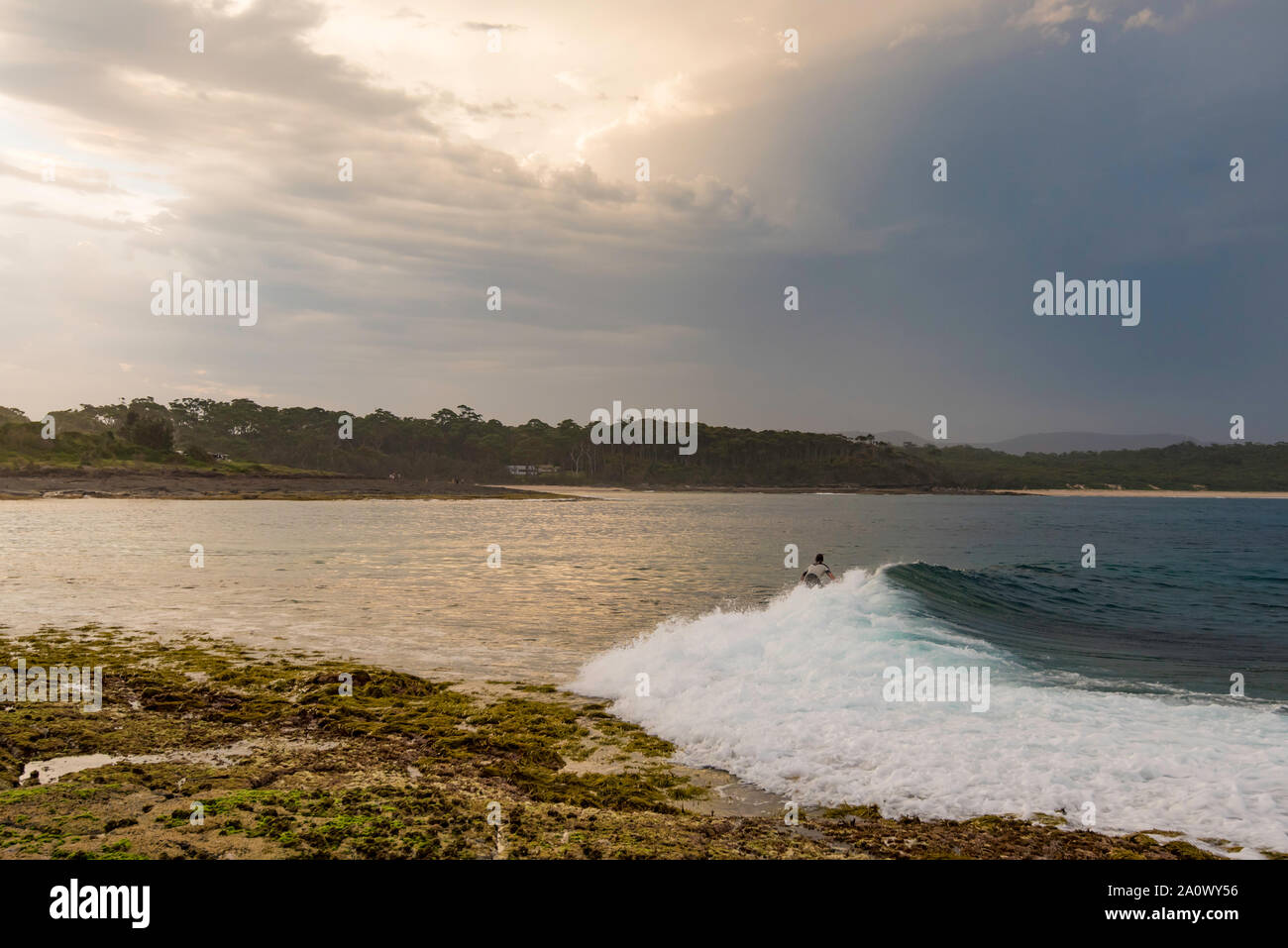 A loan board rider surfs the point at Bawley Point on the New South ...