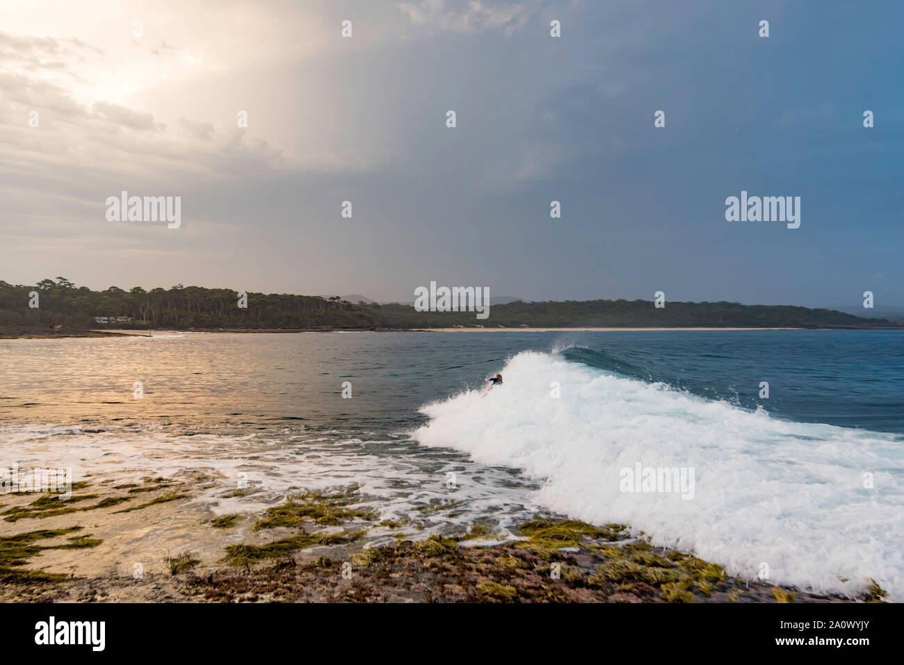 A loan board rider surfs the point at Bawley Point on the New South ...