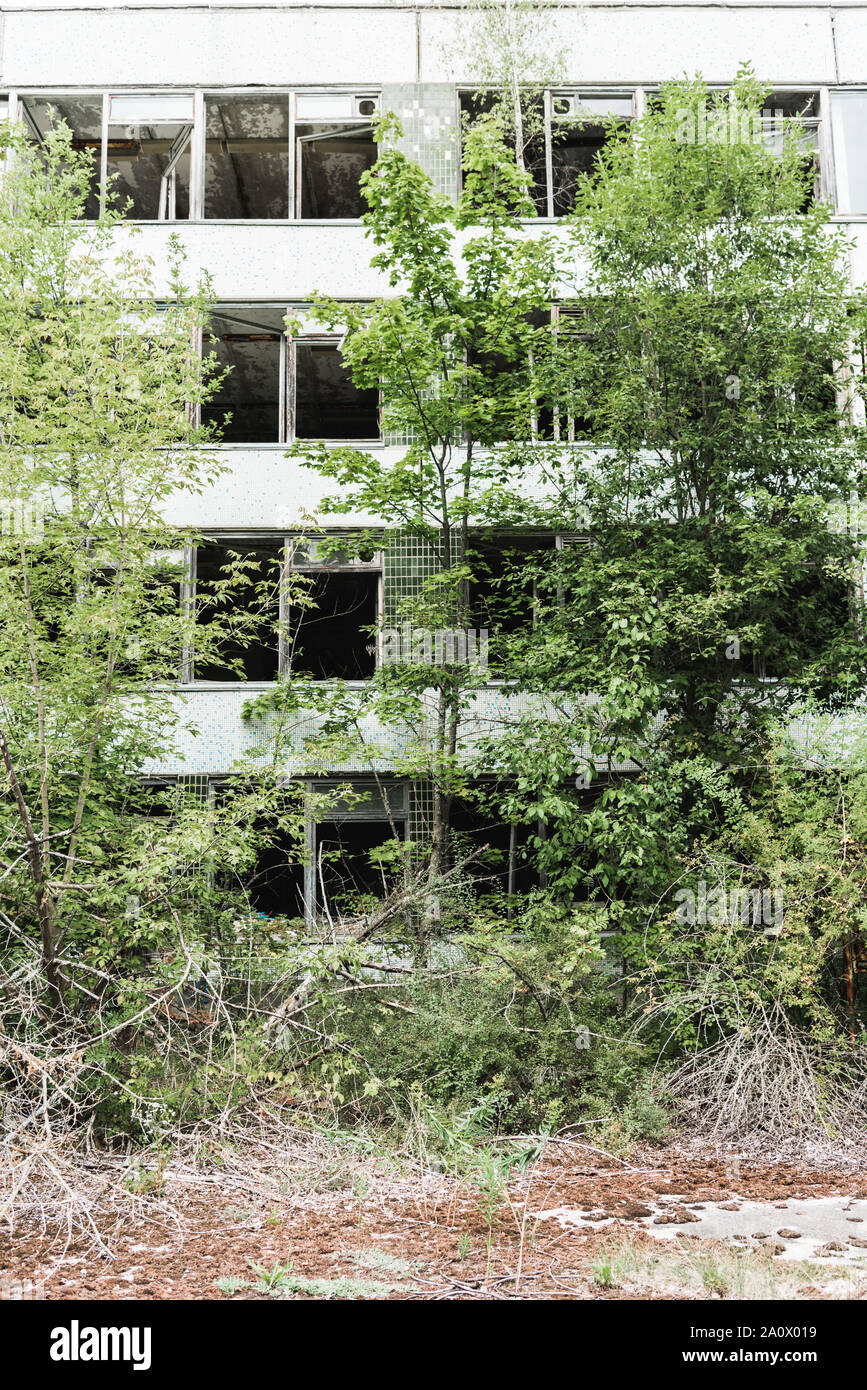 abandoned building near green trees in chernobyl Stock Photo - Alamy