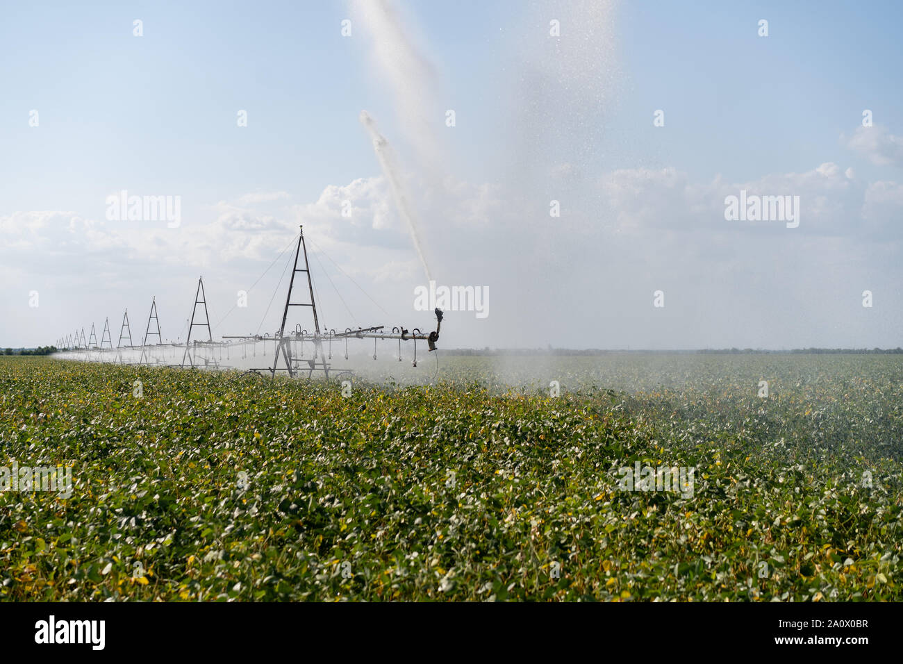 Irrigation System Watering Crops on Farm Field. Automatic water spray ...