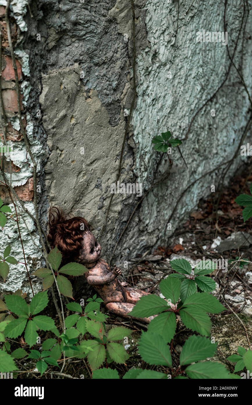 burnt baby doll near green leaves and wall in chernobyl Stock Photo - Alamy