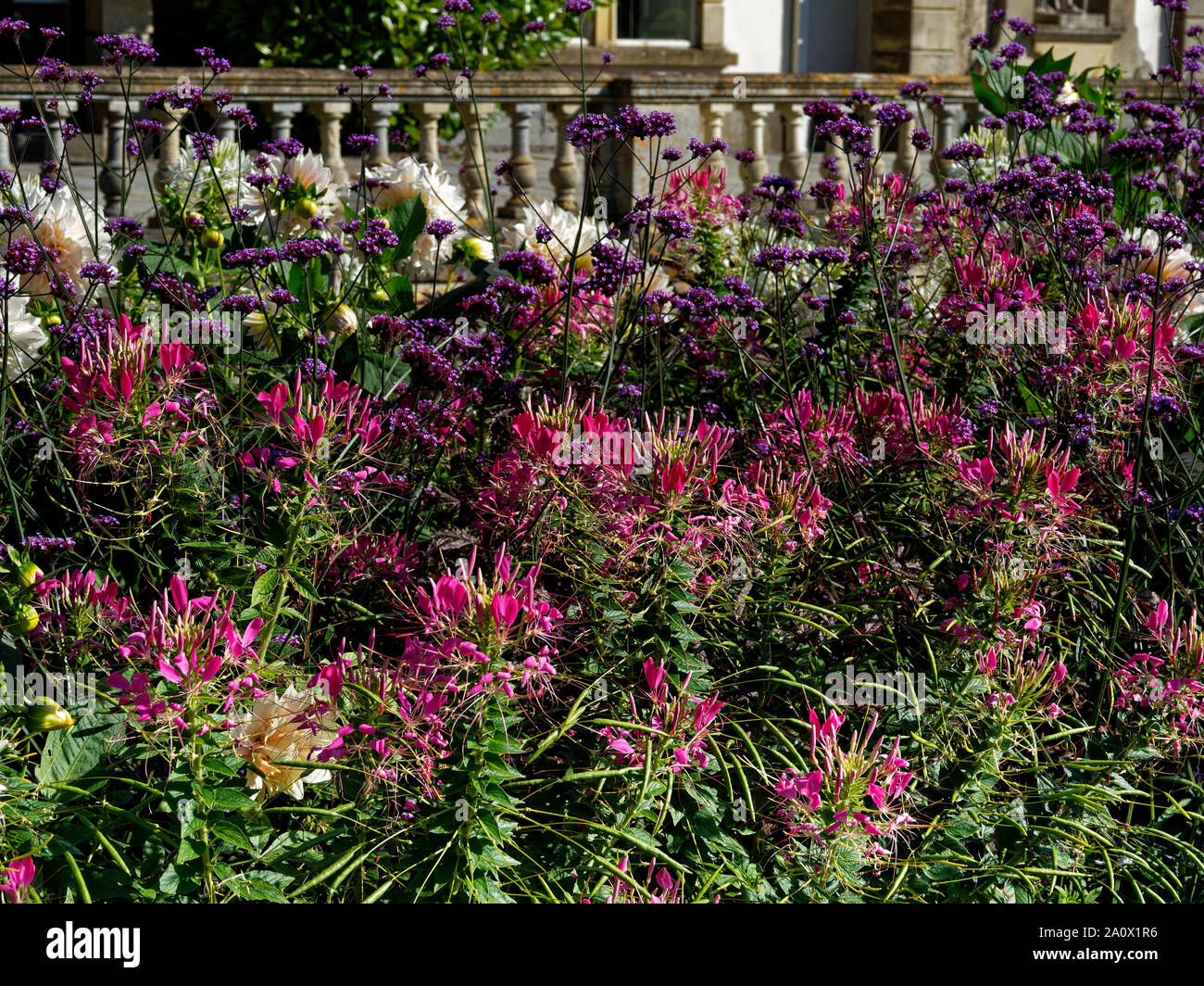 Botanical Gardens, Dyffryn Gardens, St Nicholas, Wales, UK Stock Photo ...