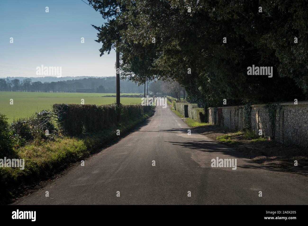 A straight country lane in the Kent countryside in Spring Stock Photo ...