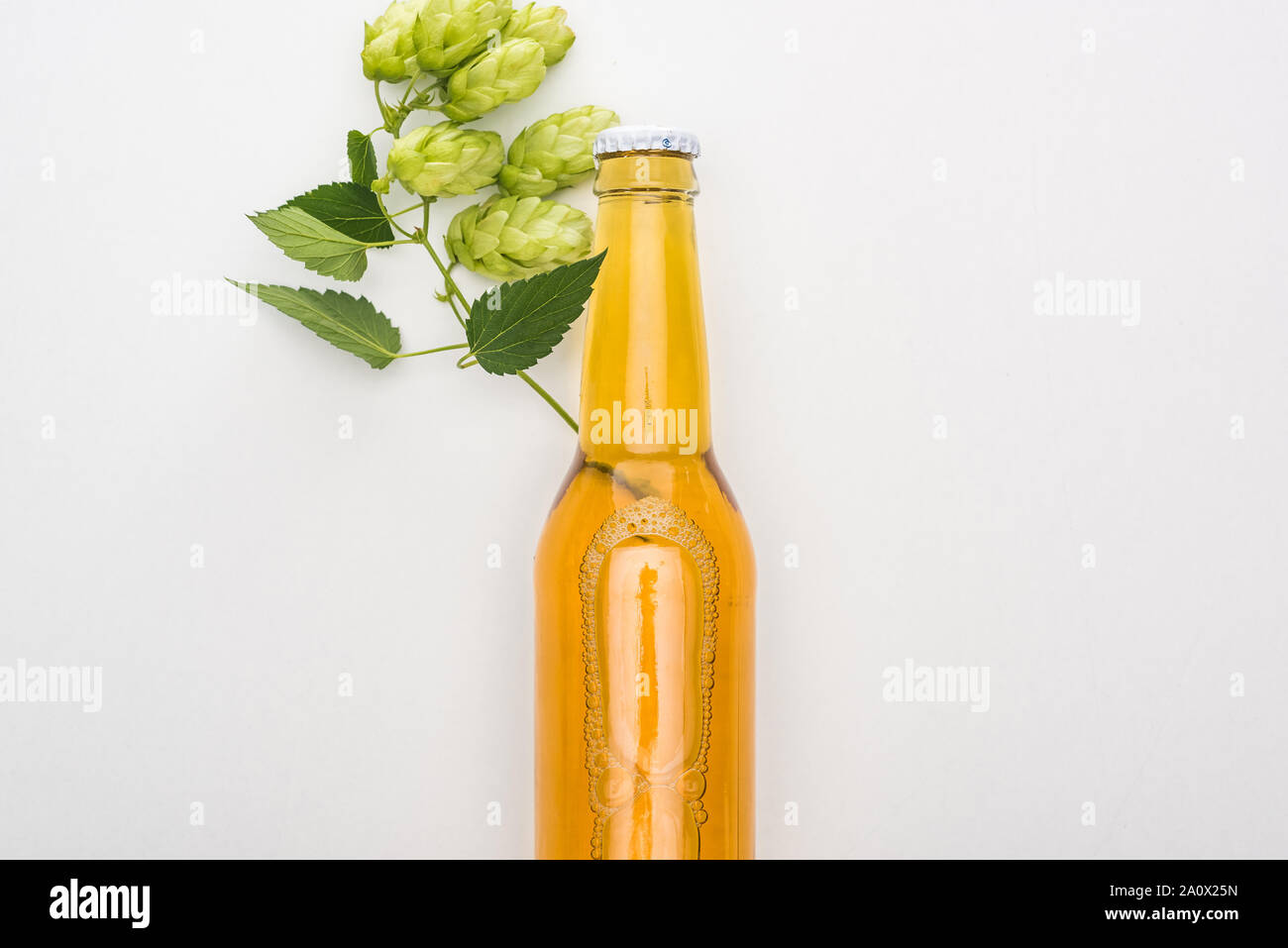 top view of beer in bottle with hop on white background Stock Photo - Alamy
