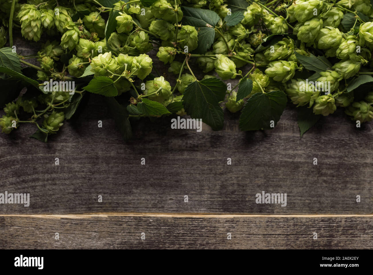 top view of green hop on wooden rustic table with copy space Stock ...