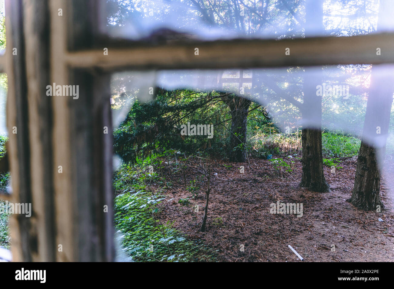 View through an old destroyed window Stock Photo - Alamy