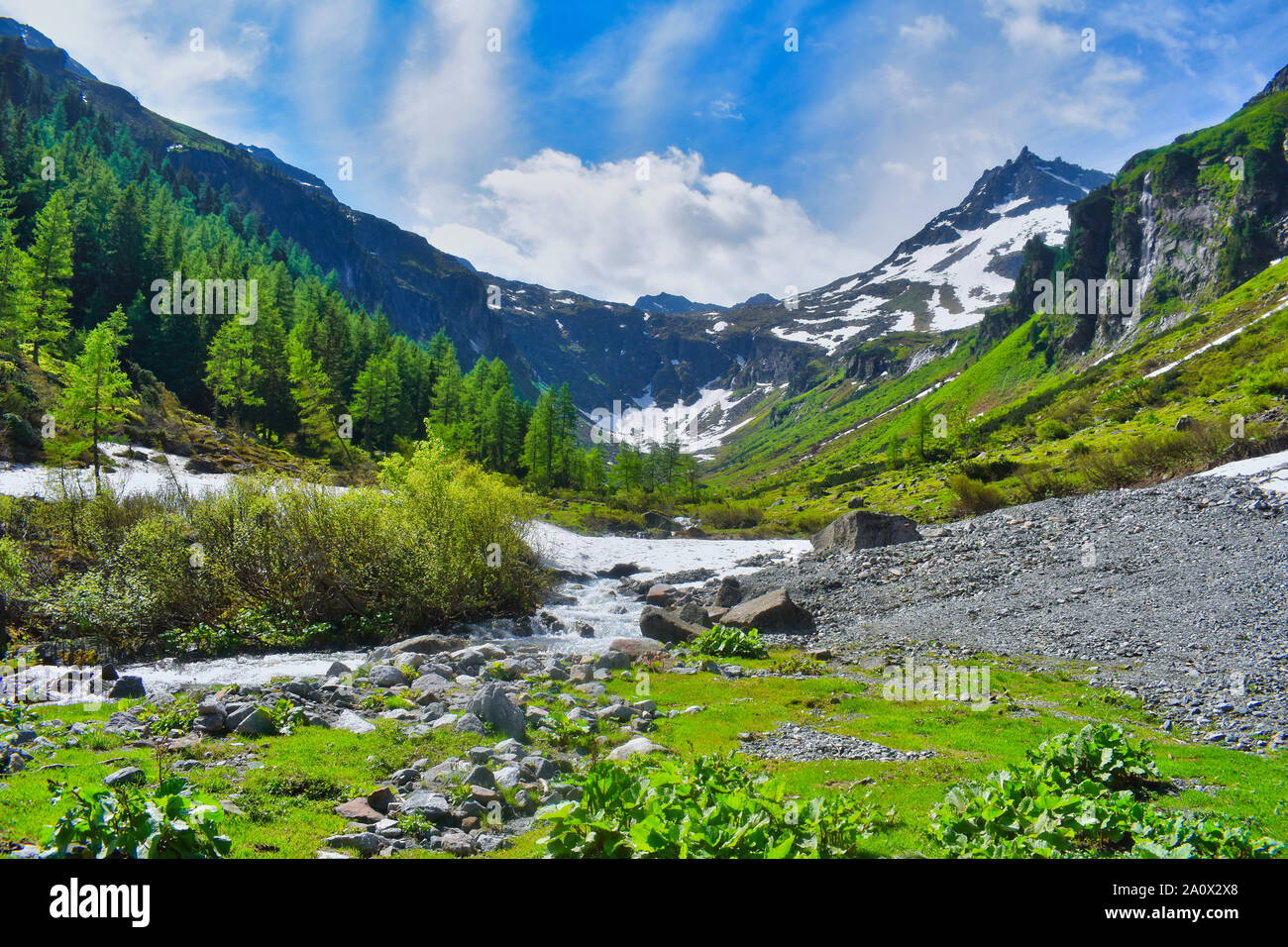 Sunny mountain view in the Alps during summer Stock Photo - Alamy