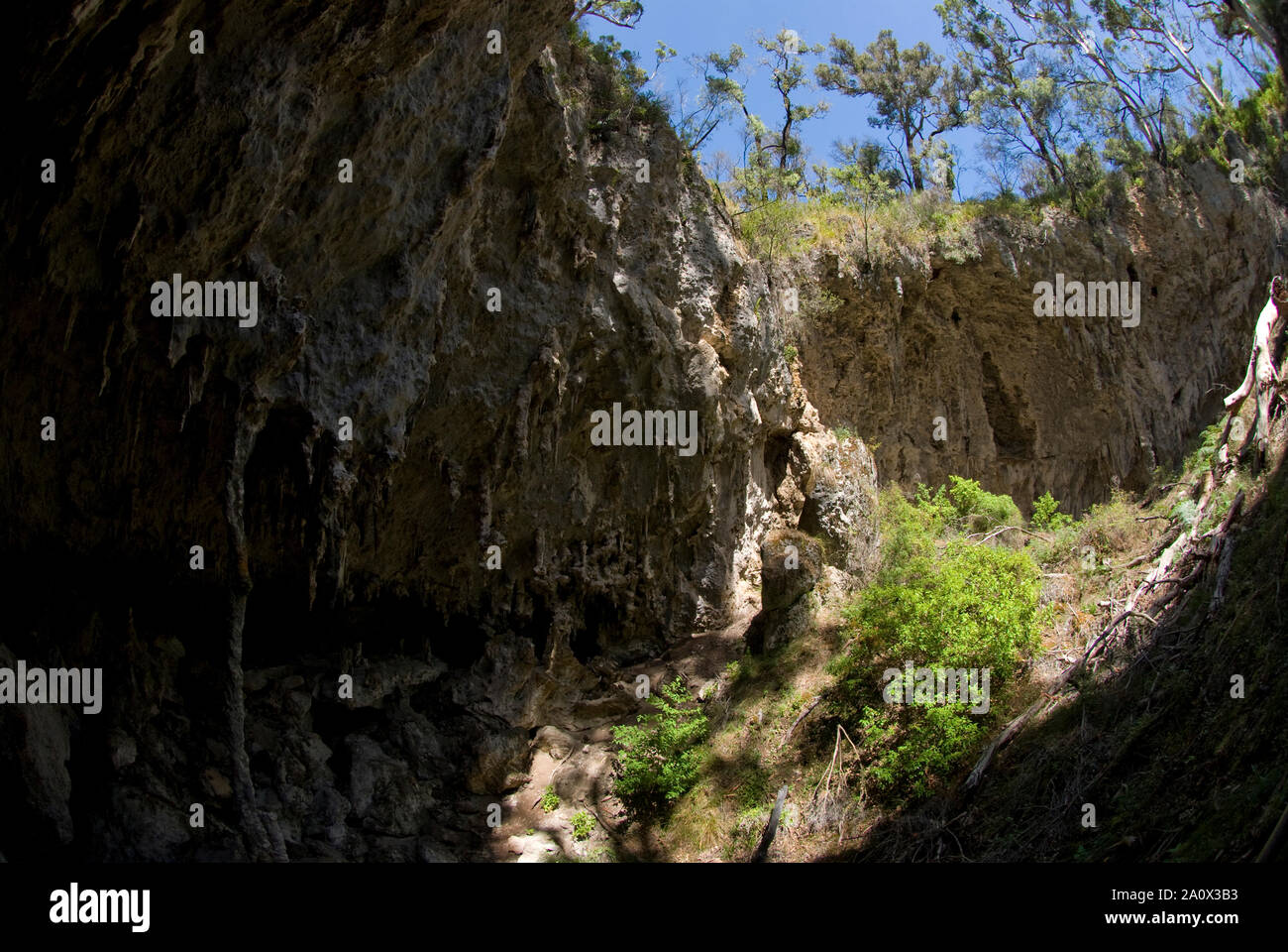 Exit hole for cave, Mammoth Cave, Margaret River, Australia Stock Photo ...