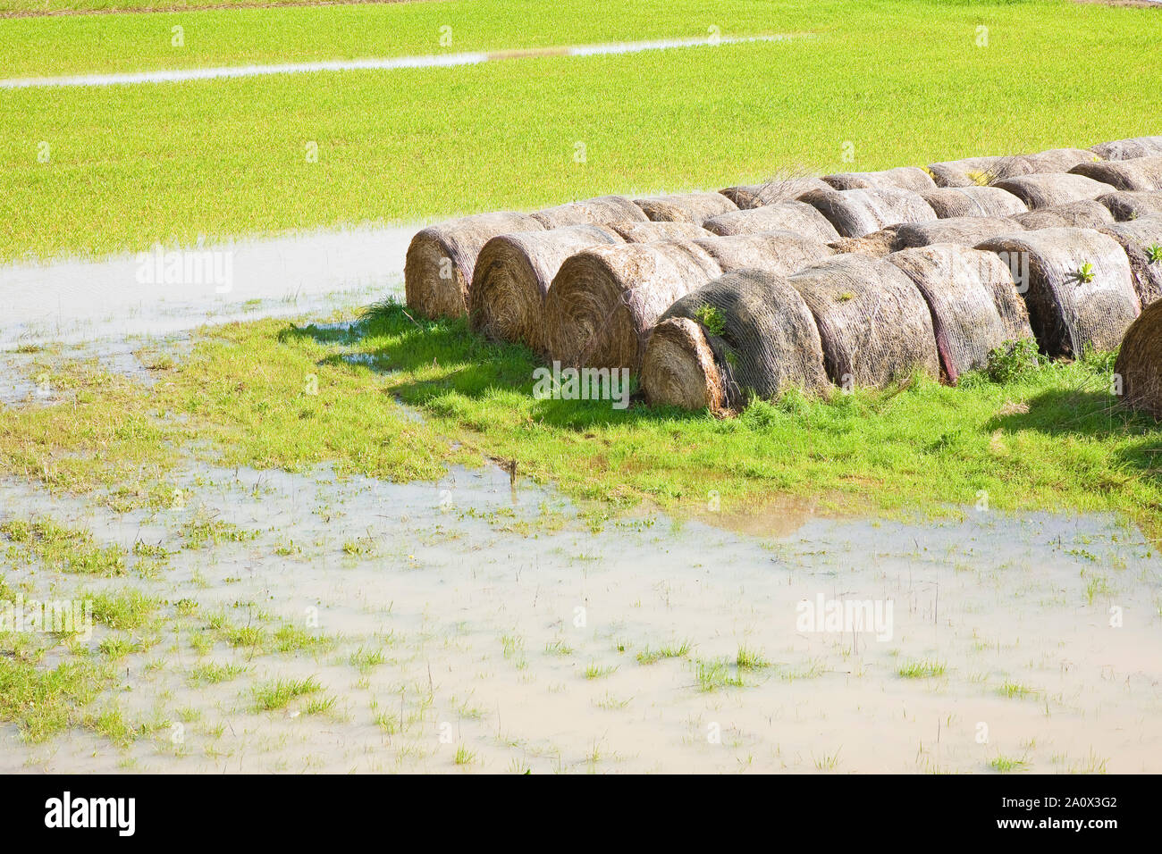 Alluvial fields hi-res stock photography and images - Alamy