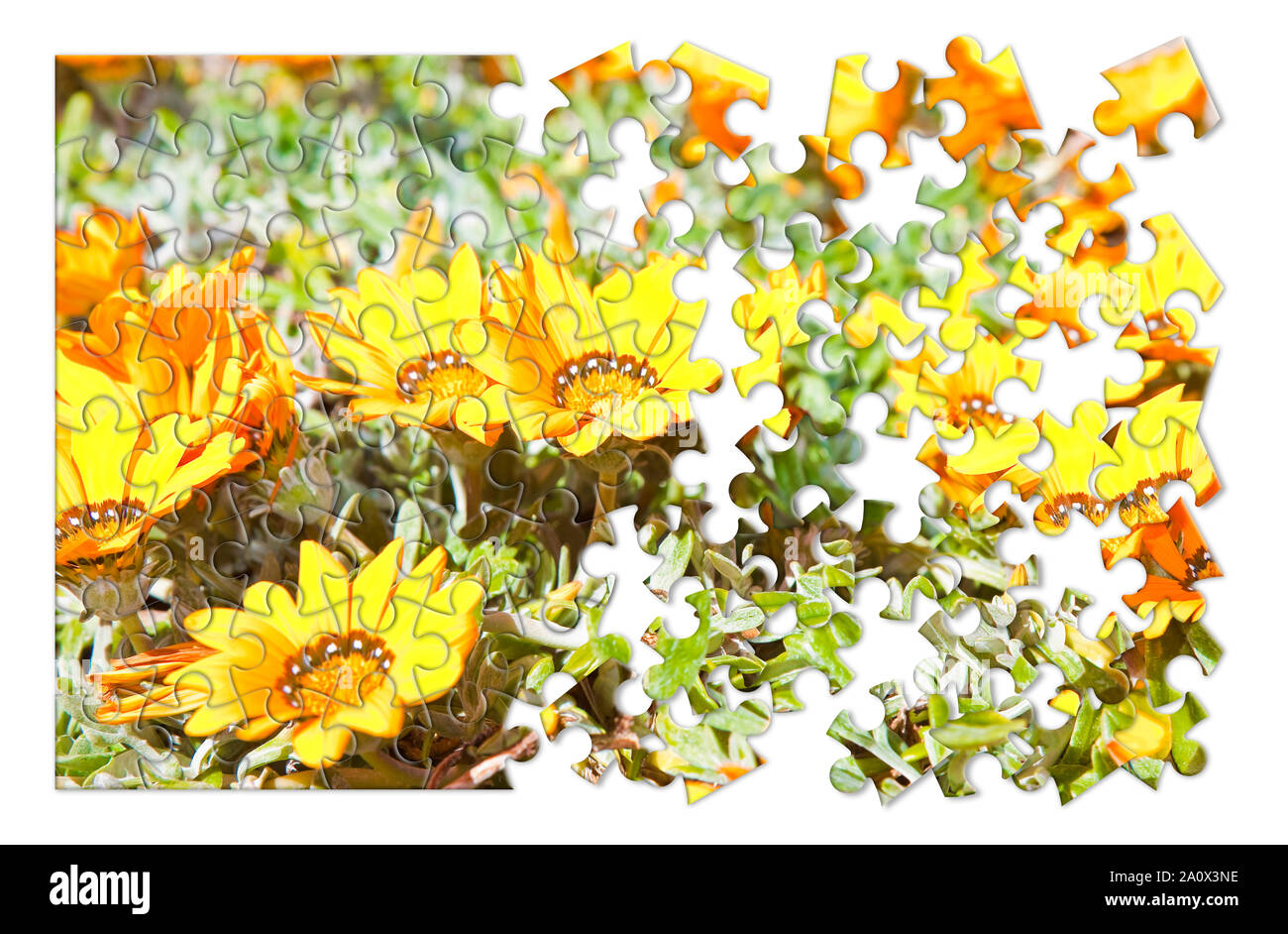 Spring concept in puzzle shape Stock Photo - Alamy