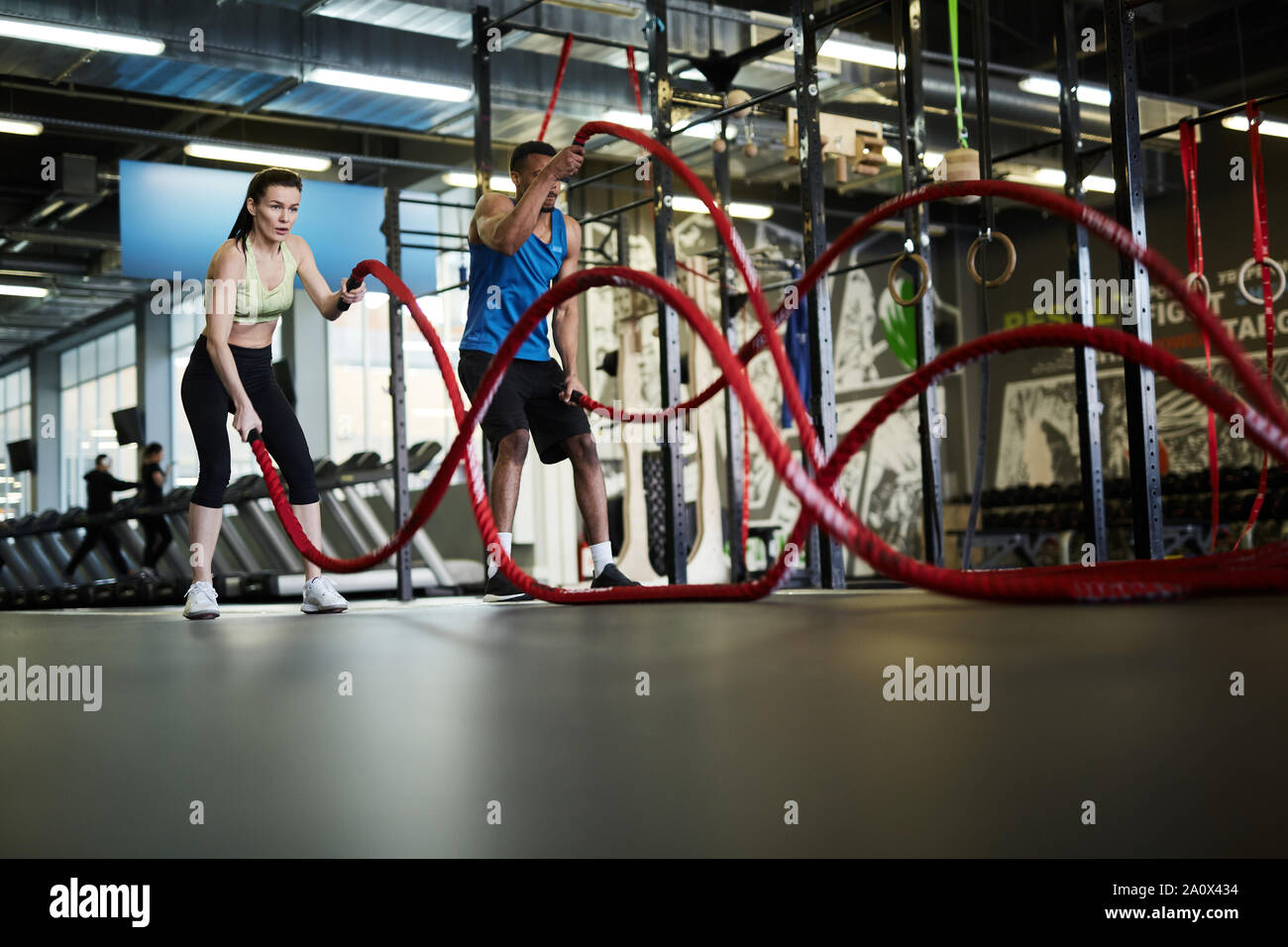Wide angle portrait of fit couple exercising with battle ropes during ...