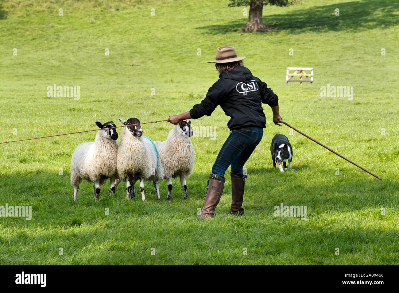 Katy cropper hi-res stock photography and images - Alamy